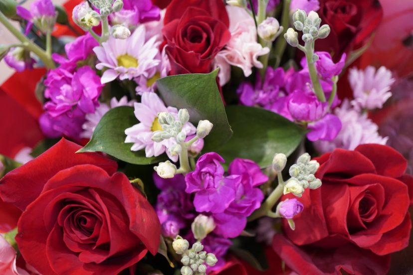 February Week 3 Garden Photos | Home & Garden Information Center