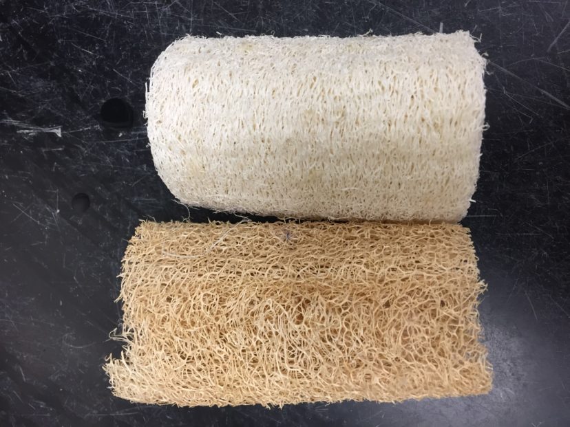 Making Luffa Soap | Home & Garden Information Center