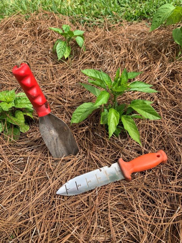 A Few More Cool Tools to Add to Your Garden Toolbox | Home & Garden ...