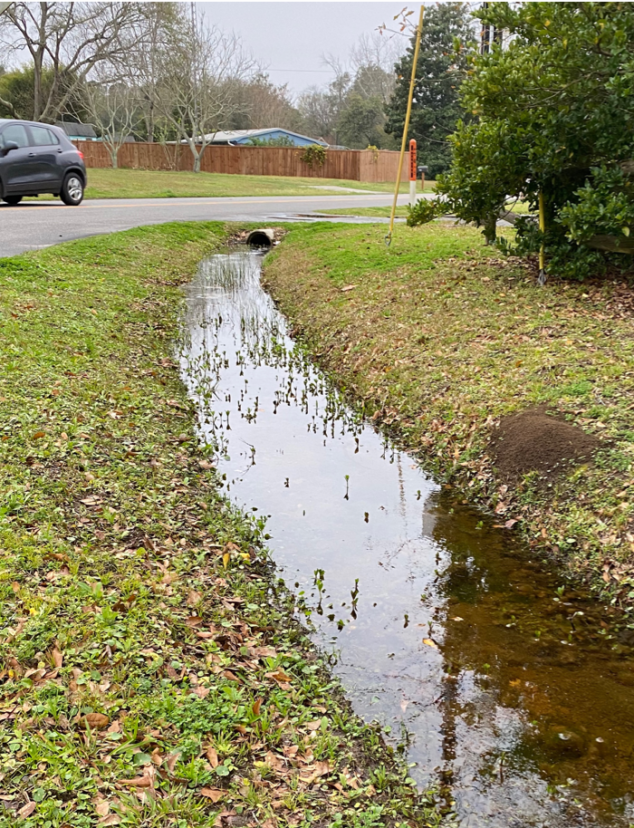 Water Management In The Home Landscape | Home & Garden Information Center