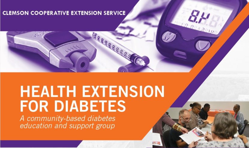 Health Extension for Diabetes | Home & Garden Information Center