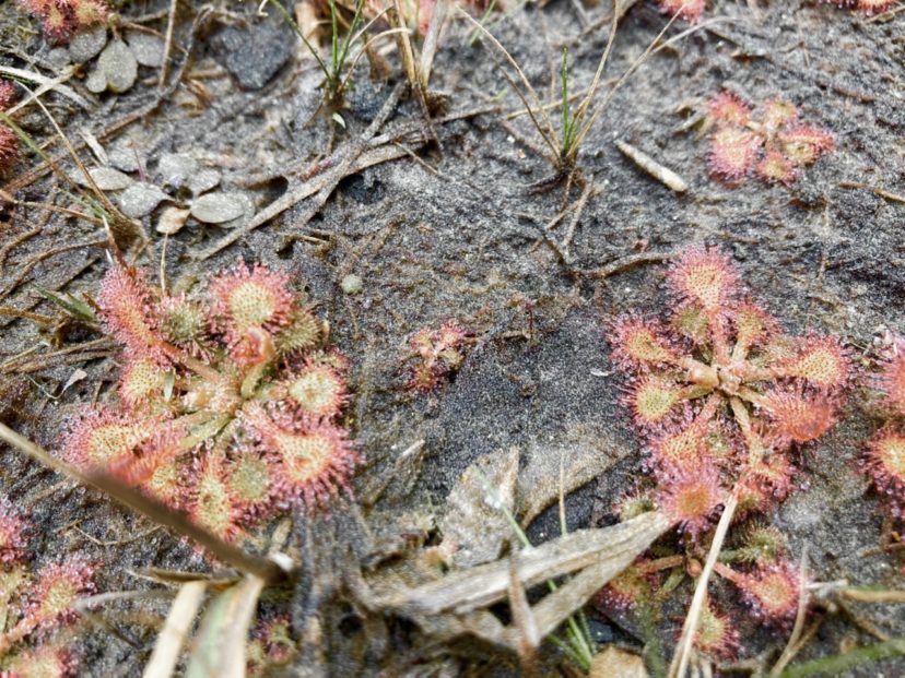 Springs and Seeps are More Important Than You Think | Home & Garden ...