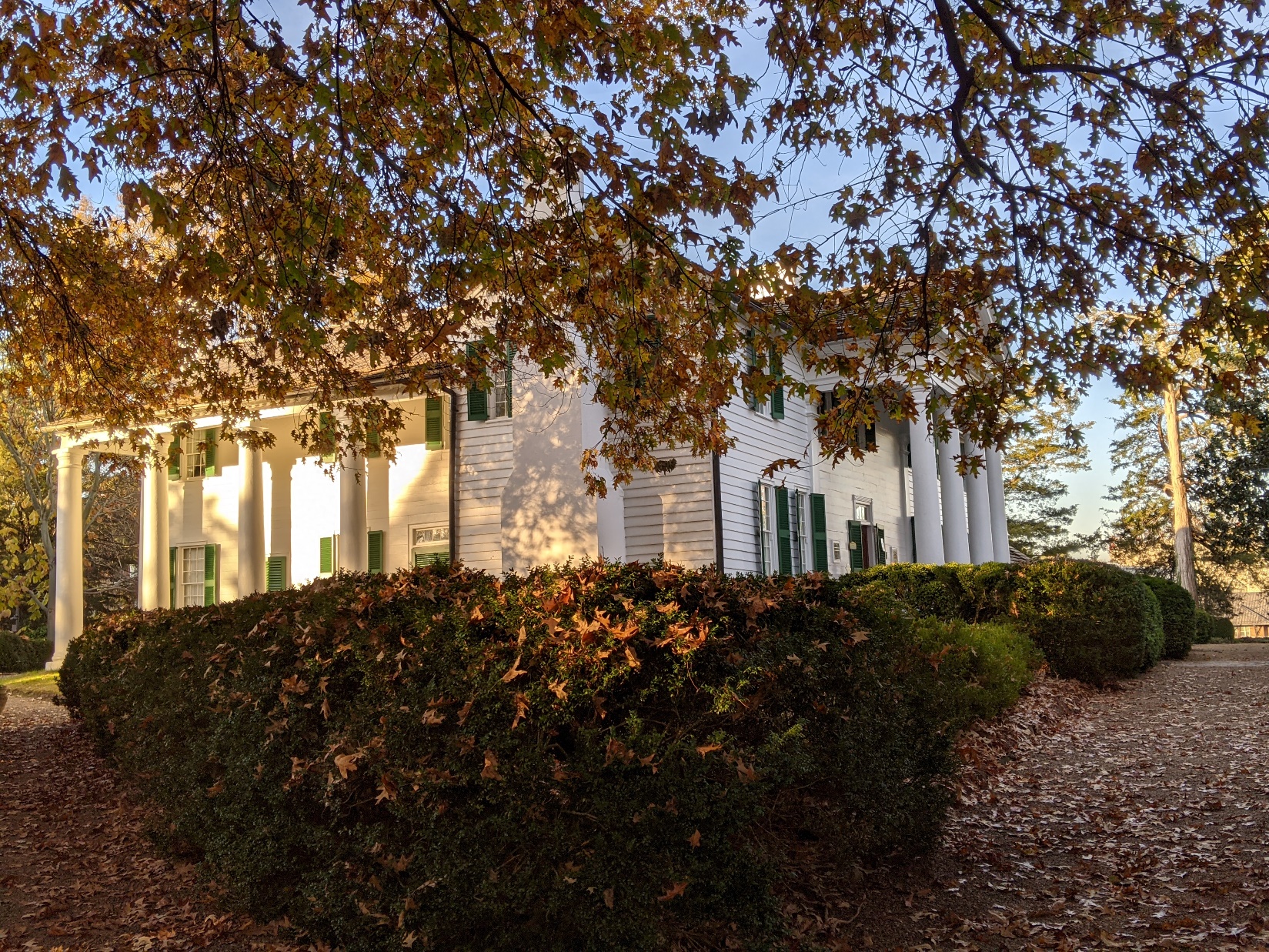 Floride Bonneau Calhoun