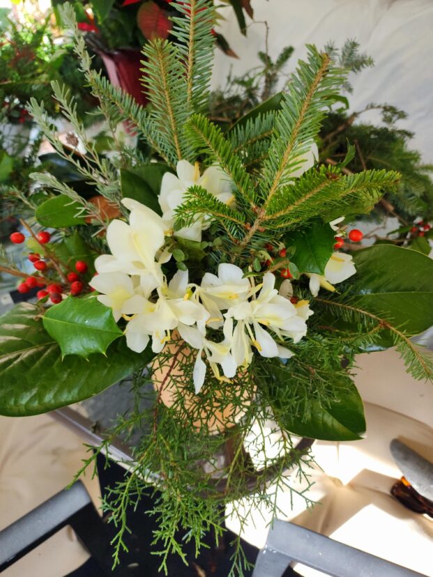 This Month in Your Garden- December 2023 | Home & Garden Information Center