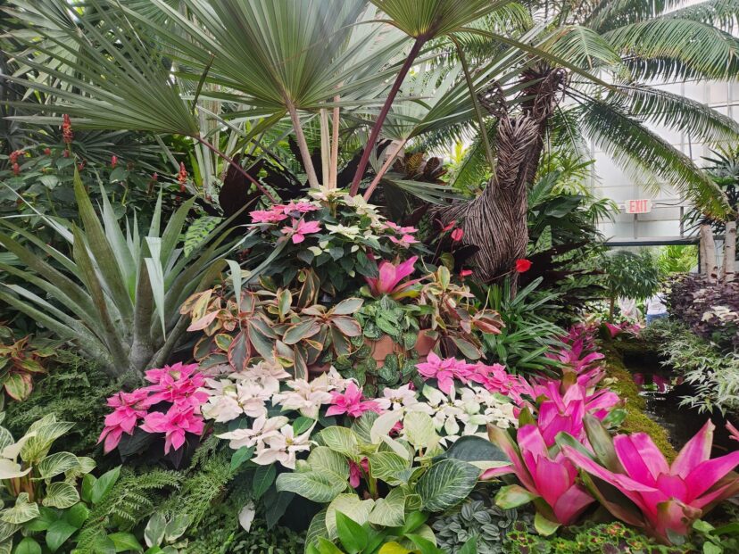 December 16 Week 3 Garden Photos | Home & Garden Information Center