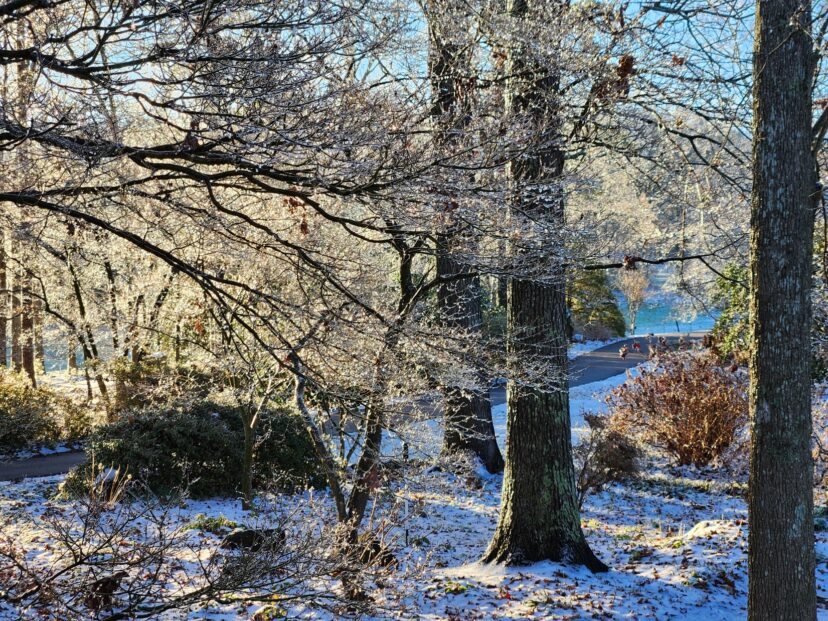 January 20 Week 3 Garden Photos | Home & Garden Information Center