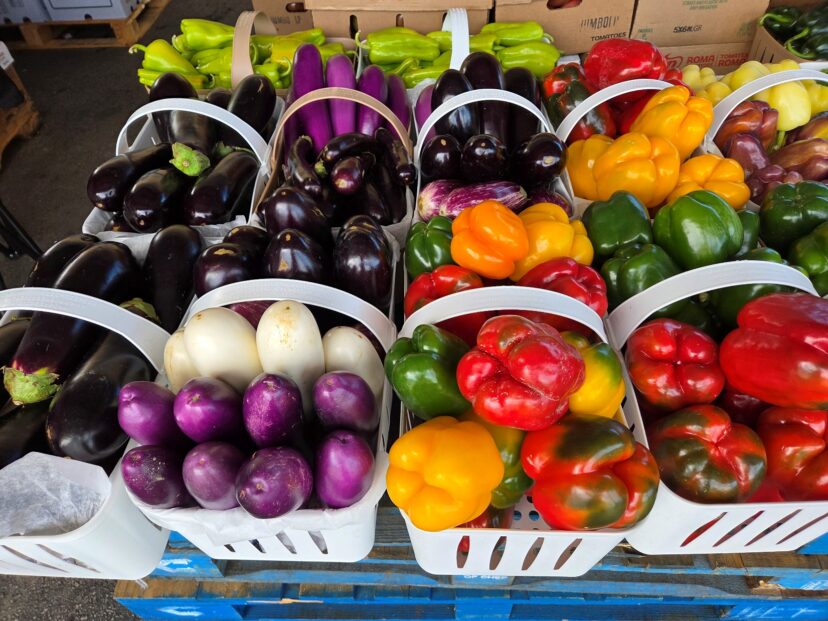 September 20 Week 3 Garden Photos | Home & Garden Information Center
